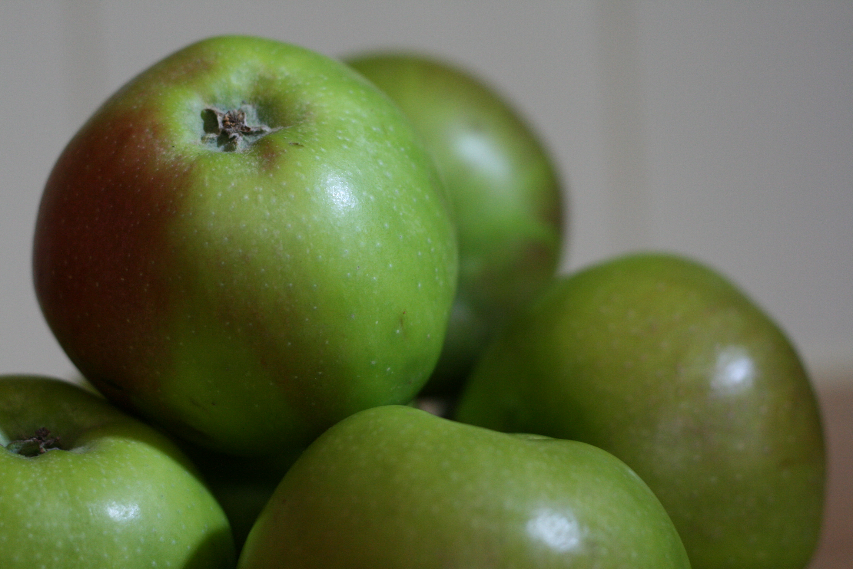 10 Quick And Easy Bramley Apple Recipes You Can Try today - Yabibo