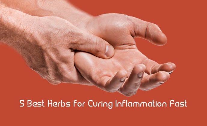 5 Best Herbs for Curing Inflammation Fast - Yabibo