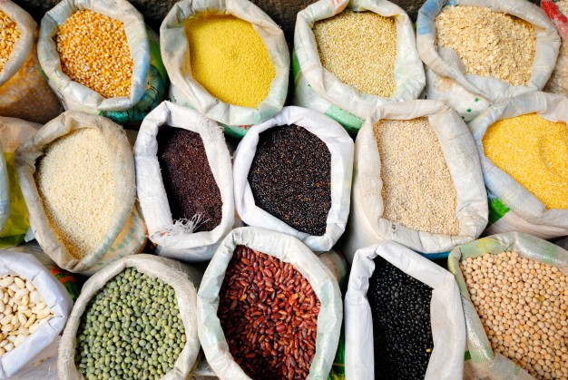 Types Of Seed 4 Important Types Yabibo
